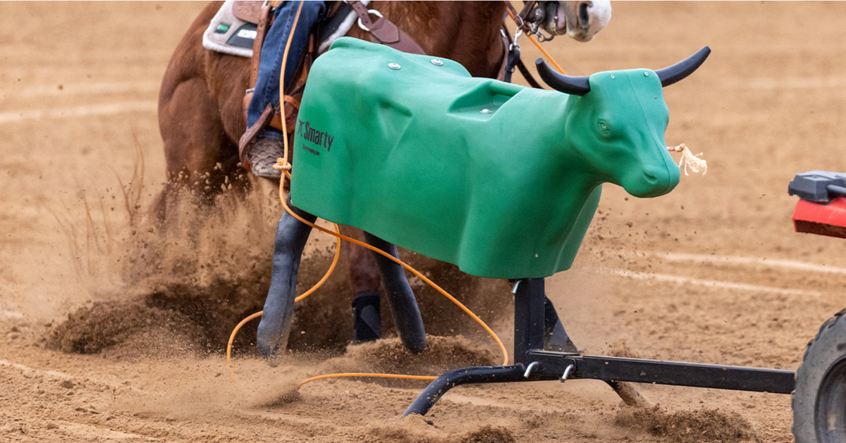 Roping Supplies: Shorty Collection for Every Rider – theFRINGEDpineapple